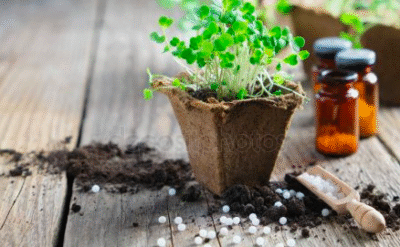 Agrohomeopathy - Natural Alternative for Plants and Crops - The ...